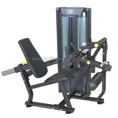 Seated Leg Extension