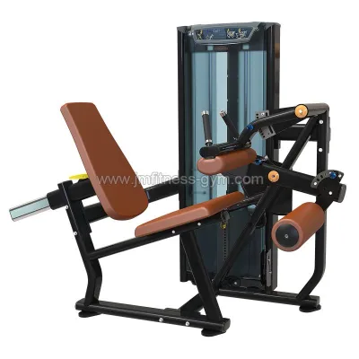 Seated Leg Extension
