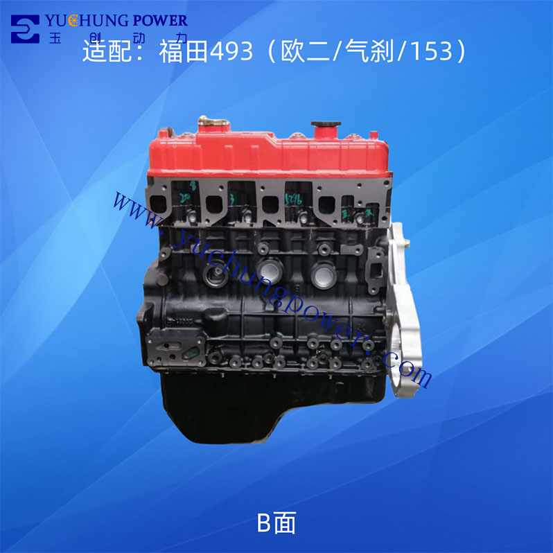 Foton Diesel Engine Long Block BJ493