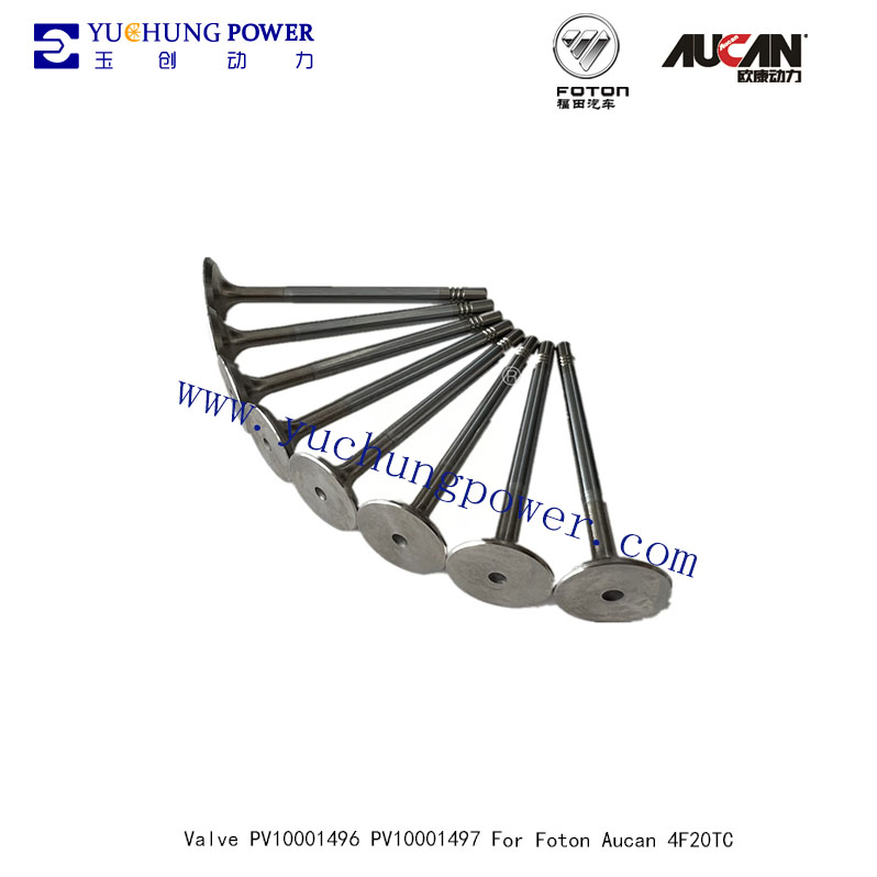Optimize Valve PV10001496 PV10001497 for Foton Aucan K1.
