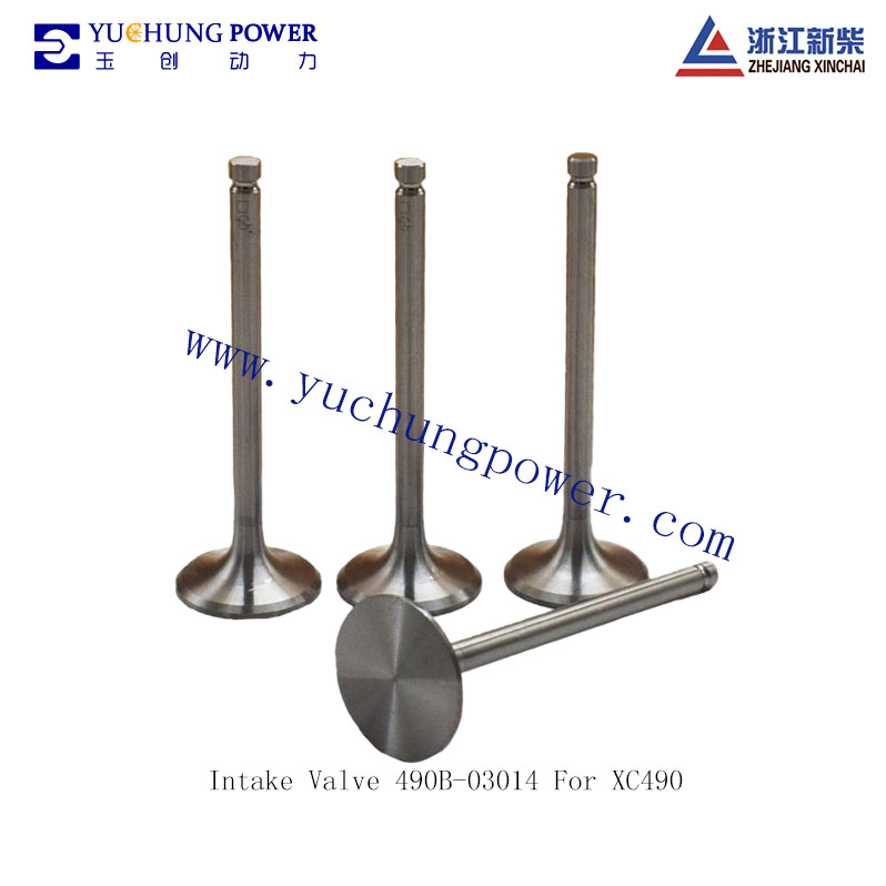 Intake Valve 490B-03014 For XC490