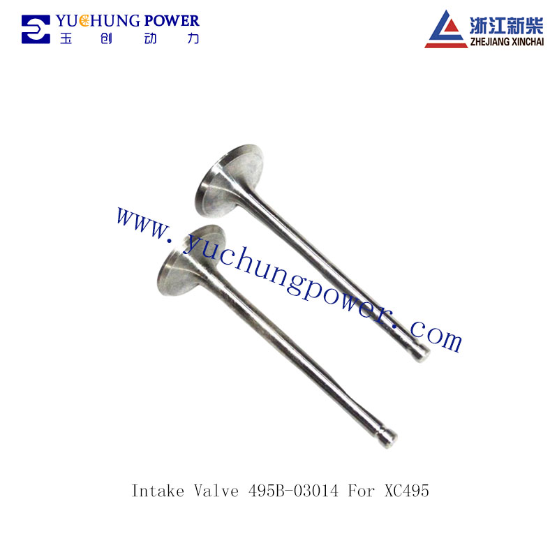 Intake Valve 495B-03014 For XC495