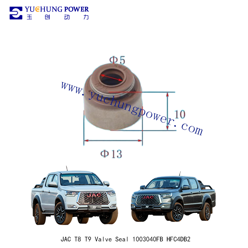JAC T8 T9 Valve Seal 1003040FB HFC4DB2