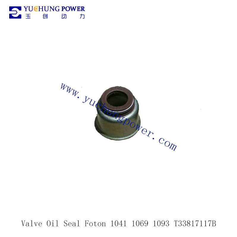 Valve Oil Seal Foton 1041 1069 1093 T33817117B