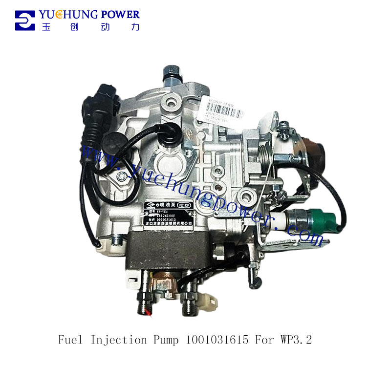 Fuel Injection Pump 1001031613 For WP3.2