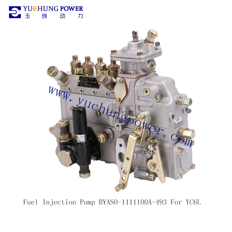 Fuel Injection Pump BYAS0-1111100A-493 For YC6L