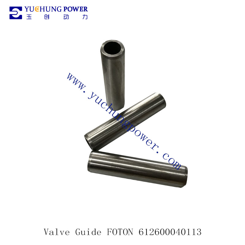 Valve Guide FOTON 612600040113