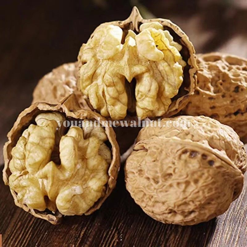 Yunnan Walnut In Shell