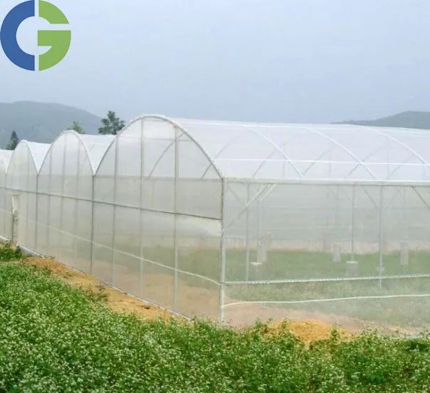 Plastic Window Screen, Plastic Window Screen Roll, Window Plastic Mesh