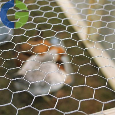Galvanized/PVC Hexagonal Chicken Wire Mesh