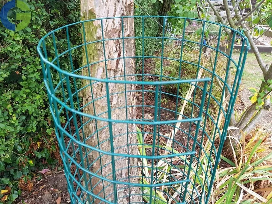 Tree Guard, Welded mesh tree guard