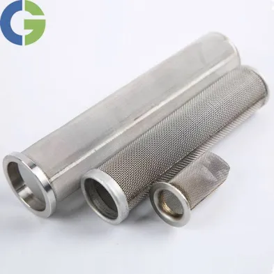 Cylindrical Mesh Filter, Wire Mesh Filter