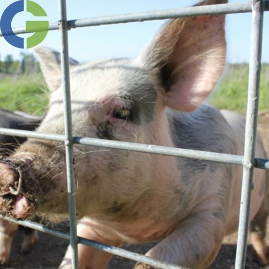 Hog wire, Hog wire panel, Hog wire mesh