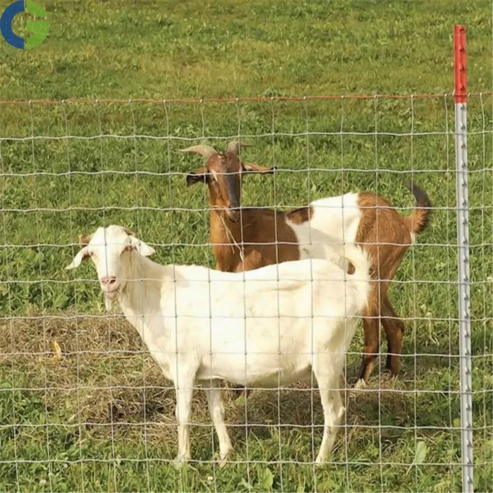 Galvanized sheep fence, field fence
