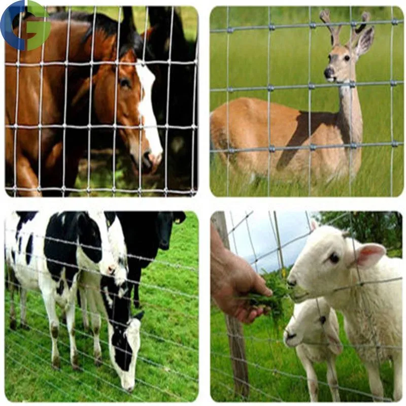 Galvanized sheep fence, field fence