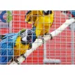 Welded Aviary Mesh, Galvanized Welded Wire Mesh, China wire Mesh