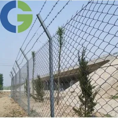 Chain link mesh, Galvanized Chain Link, PVC coated Chain Link