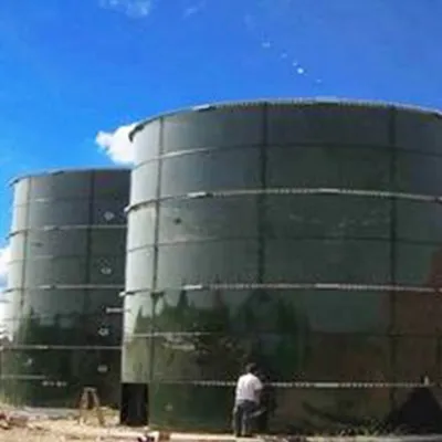 Biogas Digester Tank