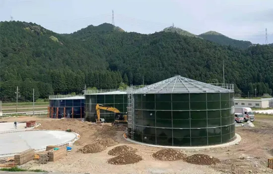 ZHAOYANG GFS tank for anaerobic digestion plant with CSTR process in ...
