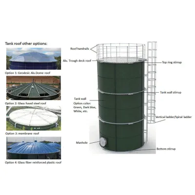 Storage tank roofs options