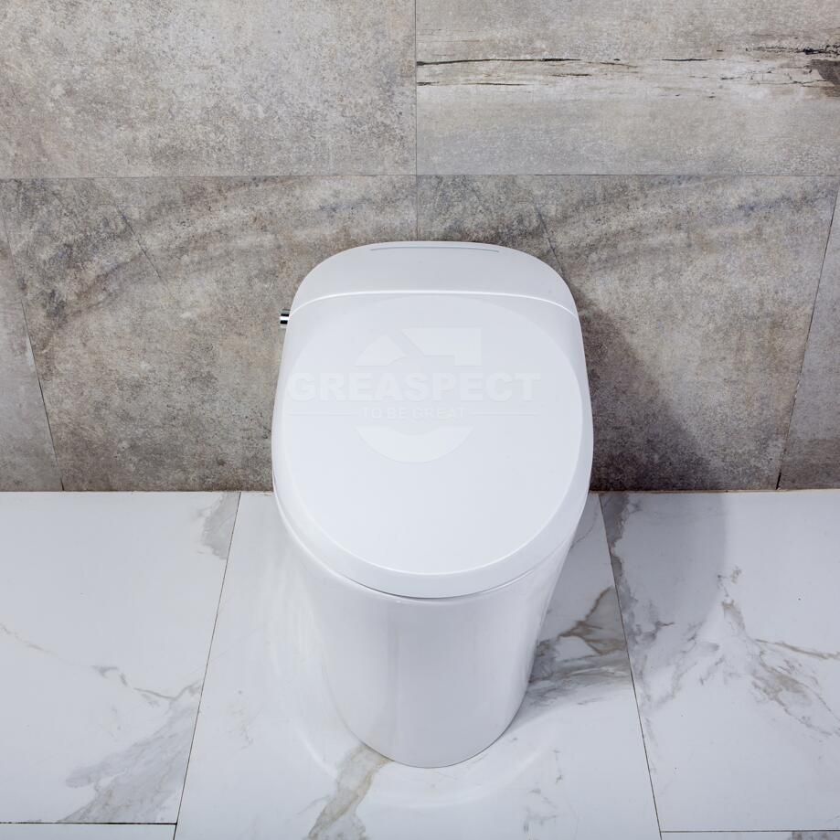 Intelligence toilet smart WC sanitaryware ceramics factory