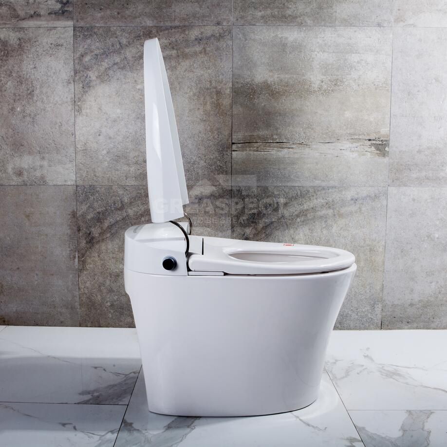 Intelligence toilet smart WC sanitaryware ceramics factory