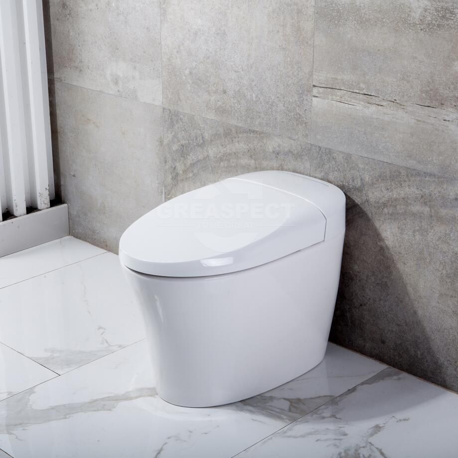 Intelligence toilet smart WC sanitaryware ceramics factory