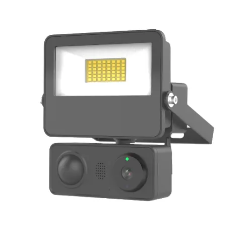 Smart Flood light camera