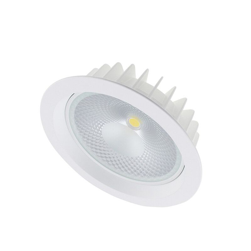 30W COB Downlight