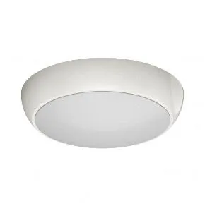 Ceiling Light
