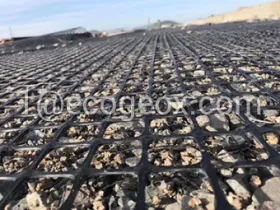 Geogrid manufacturer - EcoGeoX