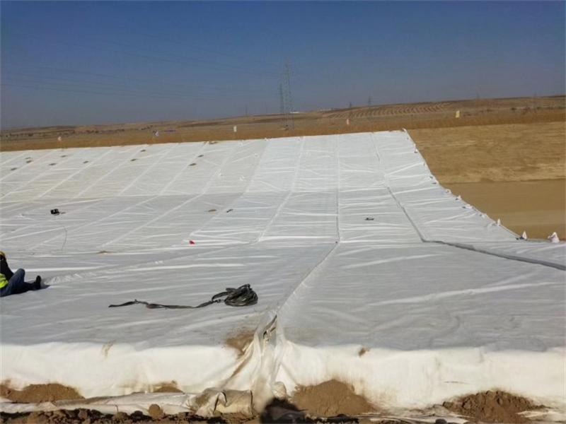 Geomembrane for Landfill - EcoGeoX