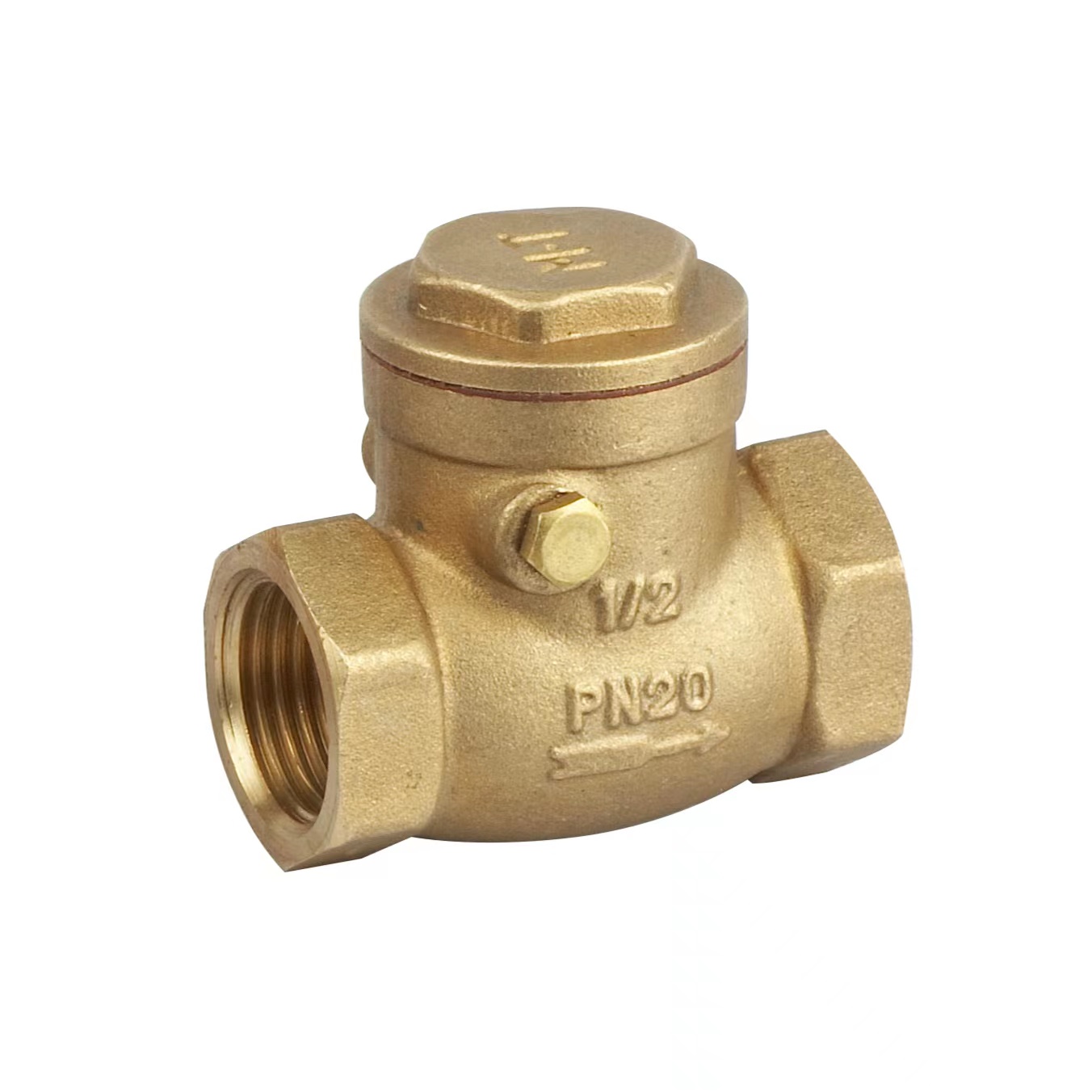 Check Valve B4002
