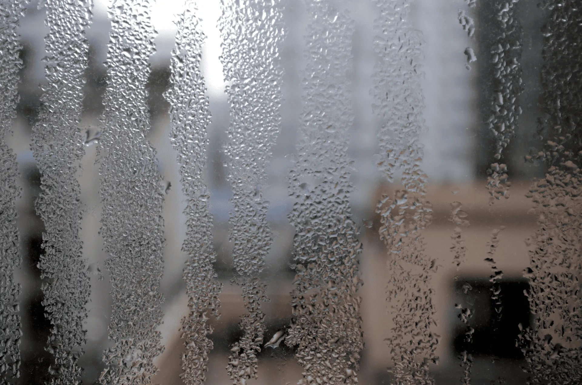 How to Prevent Condensation on Windows