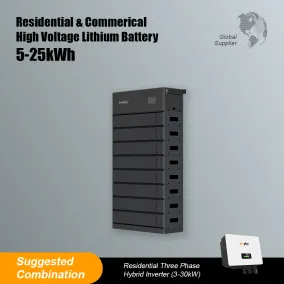 Lithium Storage Battery