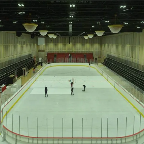 Uhmwpe Skate Board, Uhmwpe Ice Skating Rink, Supplier China