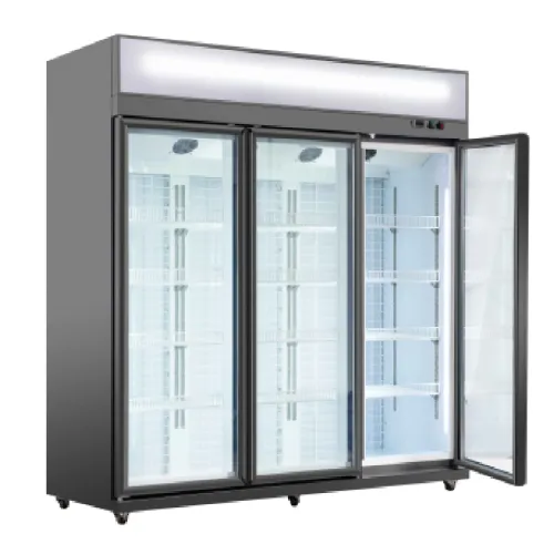 Fan cooling upright cooler and Freezer