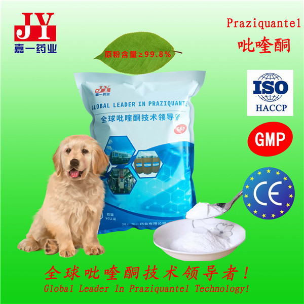 Praziquantel For Pets-Jiayi