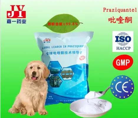 How Many Treatments of Praziquantel for Dogs?