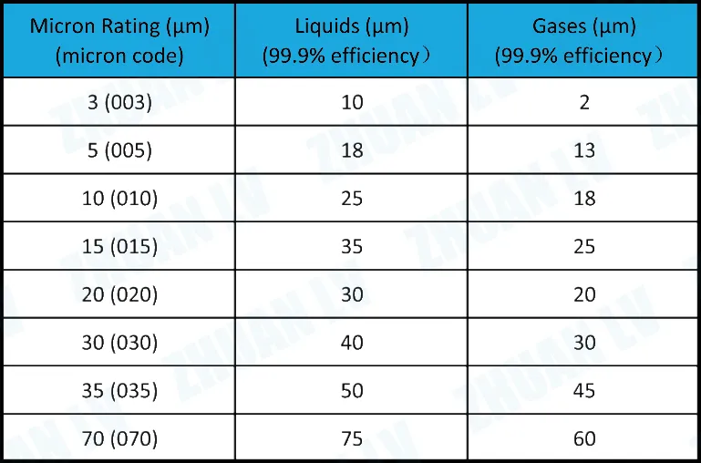 Pleated Mesh Filter Element-Zhuan Lv Filtration