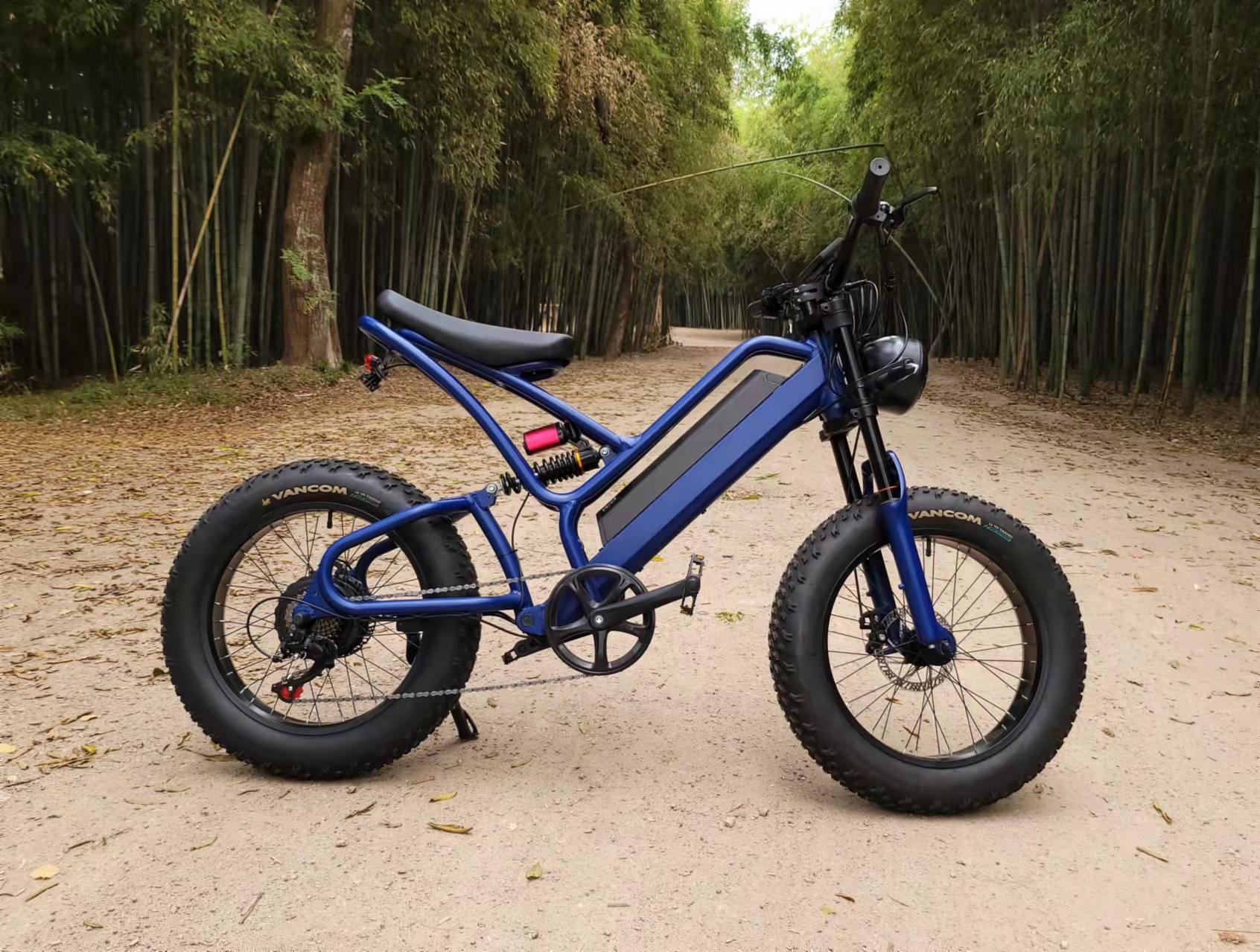 pac,hidden battery electric bicycle