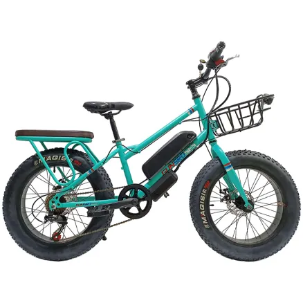ebike with basket,electric bicycle with basket,front basket for ebike
