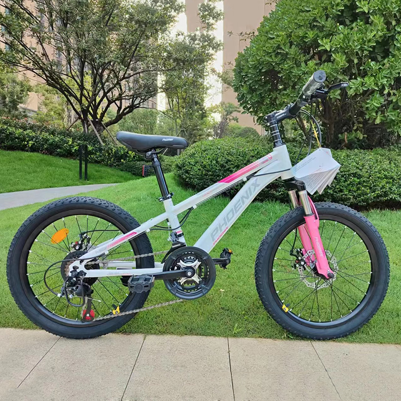 21 speeds bike 20 inch bike,21 speed mountain bike