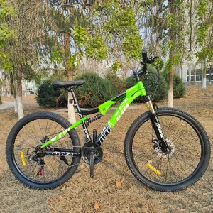 dual suspension cycle,steel frame bike