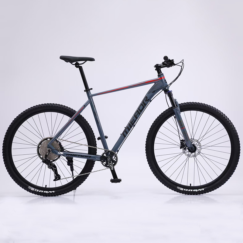 aluminum alloy bike, big size bike with raised seat beam