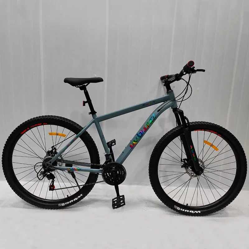 21 speeds big size steel bike,large frame bike,big size bike