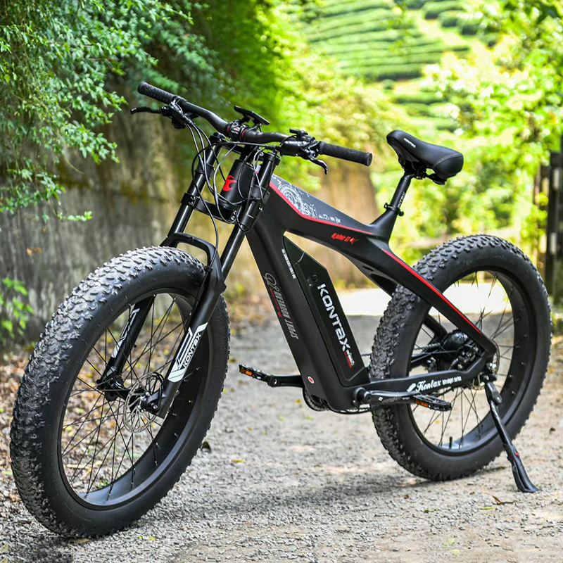 carbon fiber electric bike with Samsung battery, Samsung battery ebike