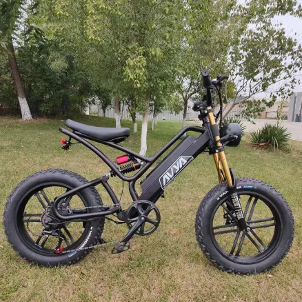 big power electric bike, integrated wheel