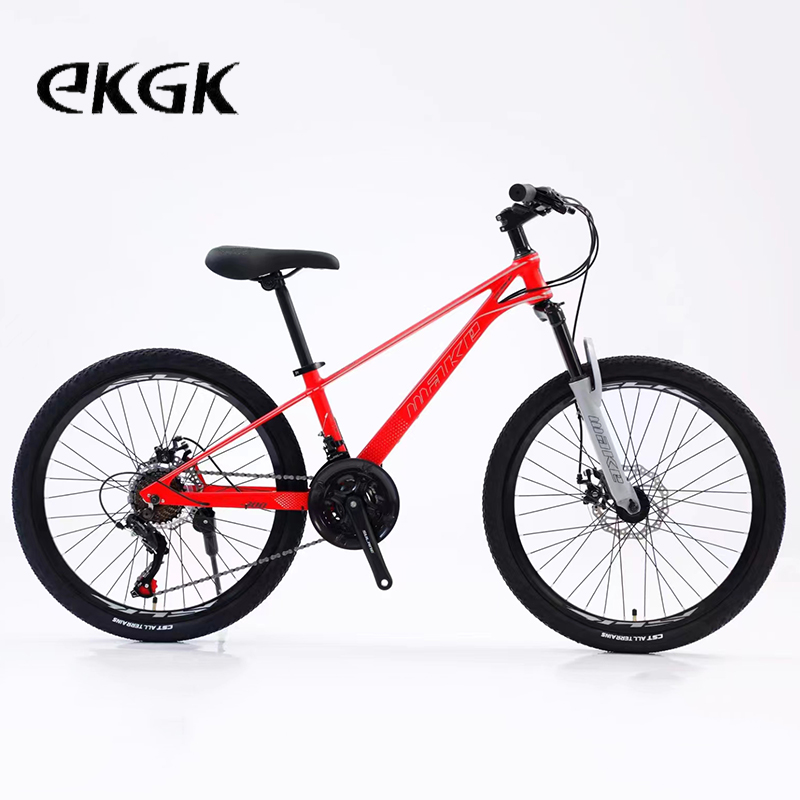 magnesium alloy bike, shimano 21 speeds bike