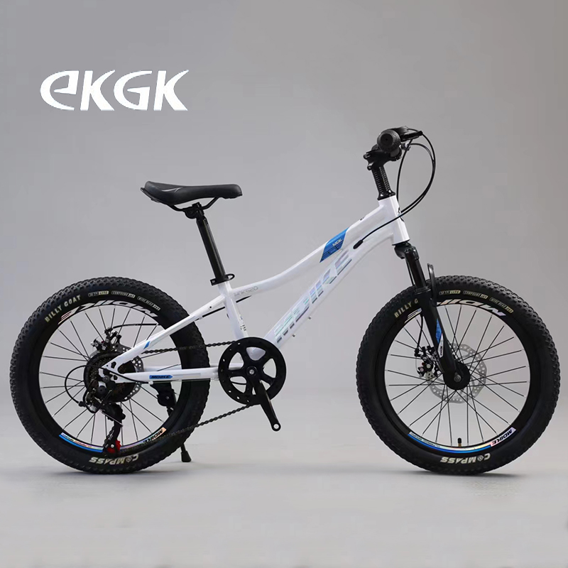 20/22 inch steel bike, shimano 7 speeds kids bike